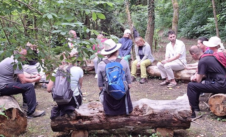 ForestFest Radoboj 2026: Tri dana šume, zdravlja i glazbe pod otvorenim ...